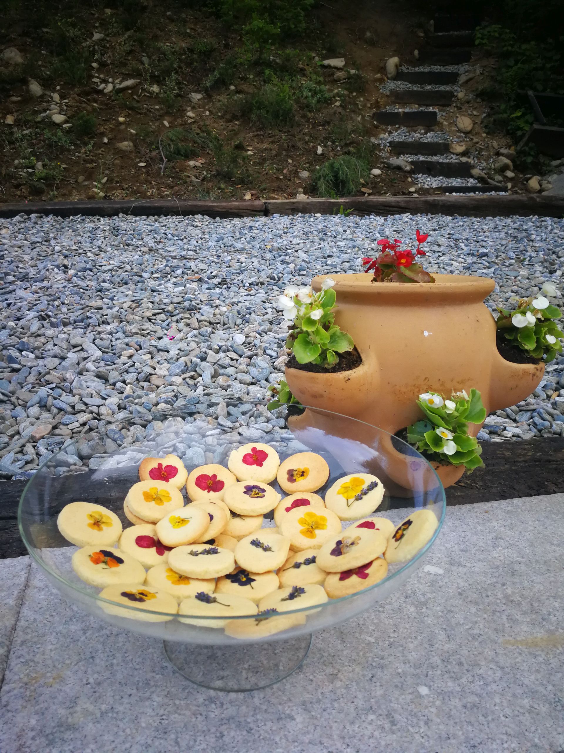 AM DESCOPERIT VALEA AVRIGULUI ȘI ANNA CHARISMA CHALET | ANDRA ILIAȘ