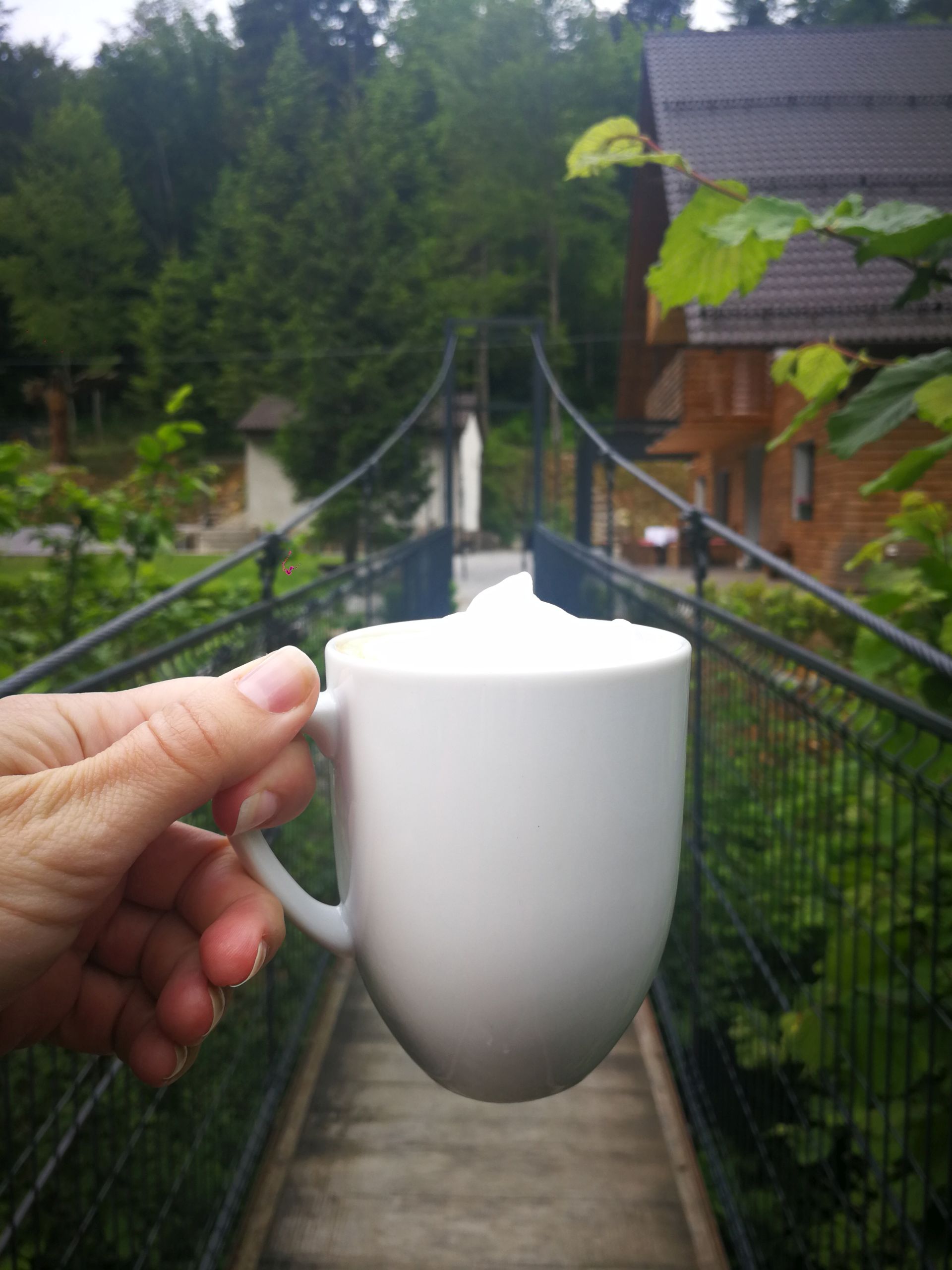 AM DESCOPERIT VALEA AVRIGULUI ȘI ANNA CHARISMA CHALET | ANDRA ILIAȘ